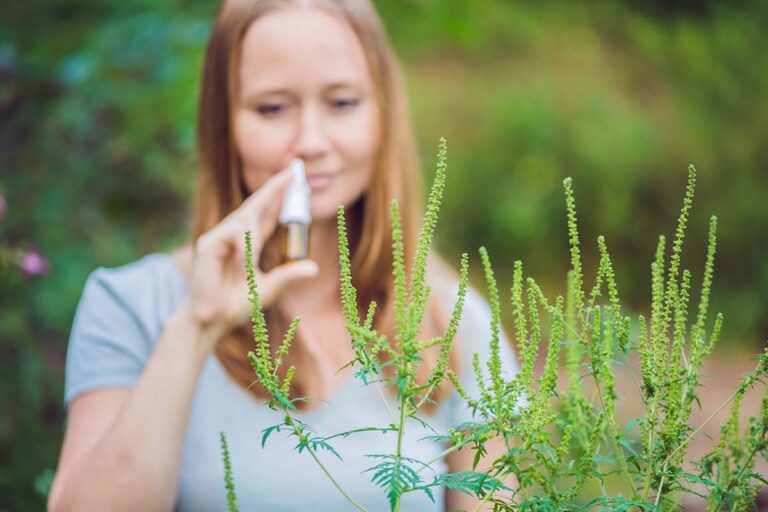 Salvia Drug: Uses, Effects, And Risks | Addiction Treatment
